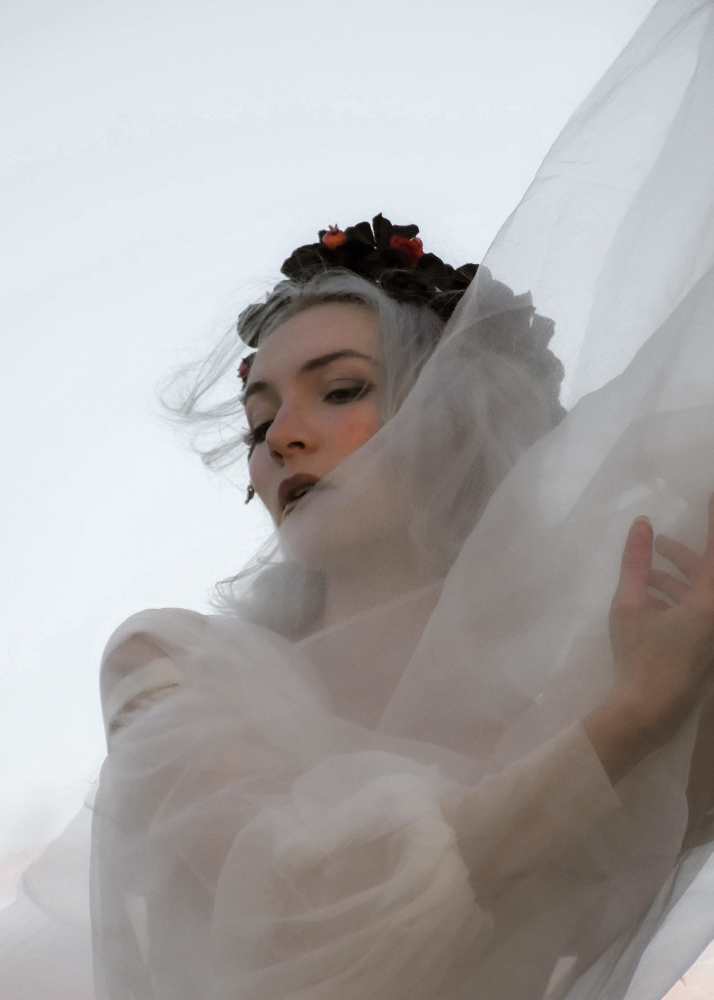 Midsummer Fae Court Ball FAQ – Eve and Fae